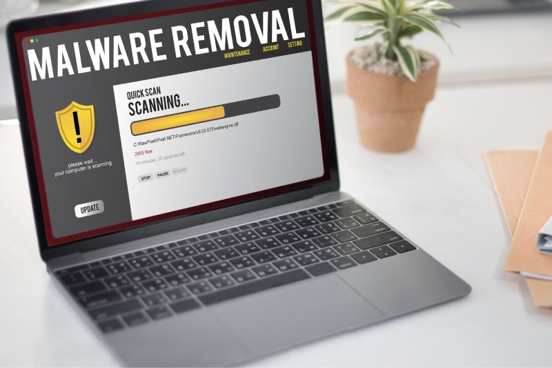 Effective Wordpress Malware Removal Guide Wp Siteplan